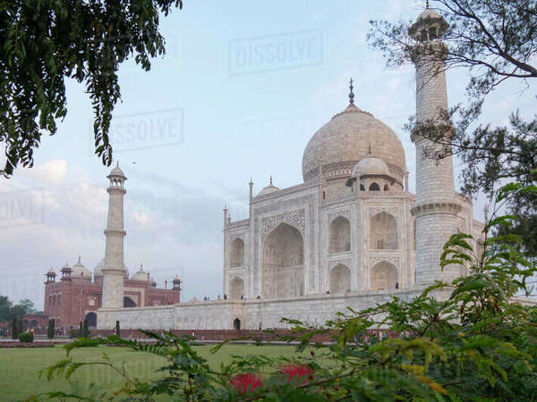 AGRA, INDIA - MARCH, 26, 2019 morning side view of the taj mahal framed by several trees ...
