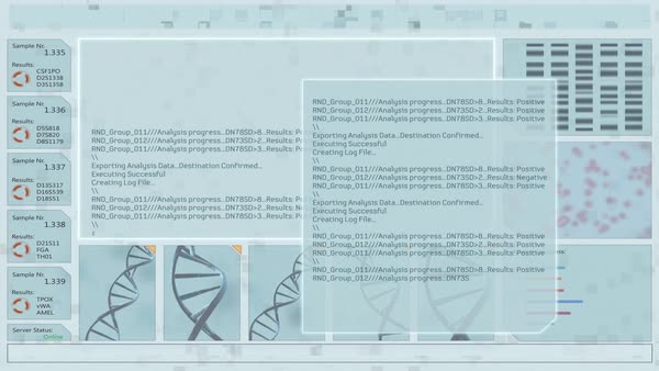 Vertical Screen Software Backend Mock Up With Software Loading Screen