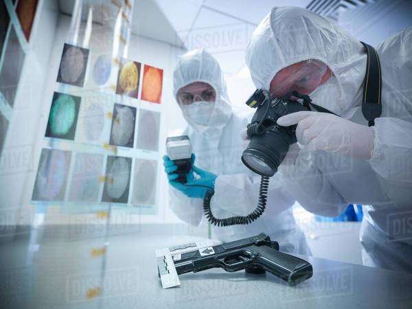 Forensic scientists photographing fingerprints on gun in laboratory ...