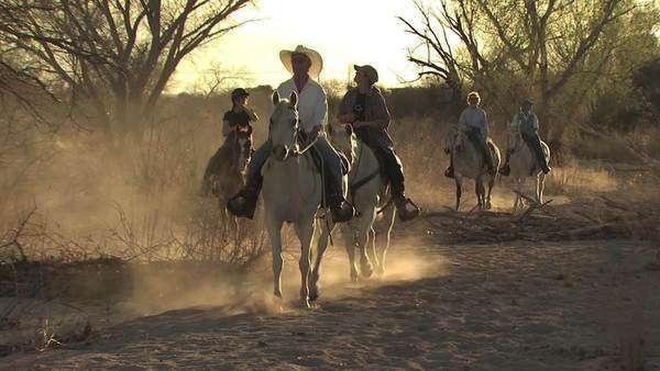 People Riding Horses In a Desert Wash - Stock Video Footage - Dissolve