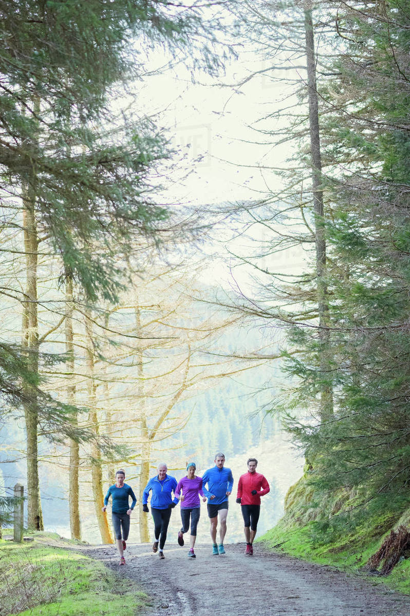 Family jogging in woods - Stock Photo - Dissolve