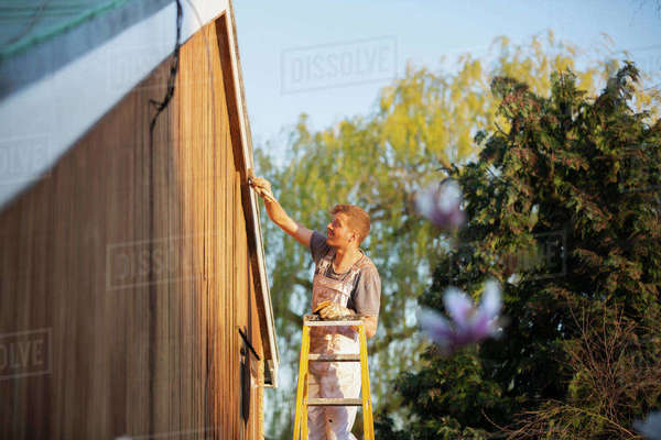 Male painter on ladder painting home exterior trim - Stock Photo - Dissolve