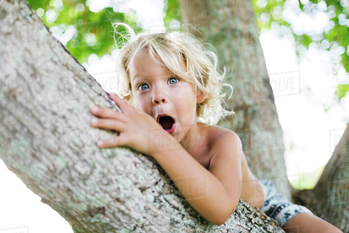 Boy sitting on tree - Stock Photo - Dissolve