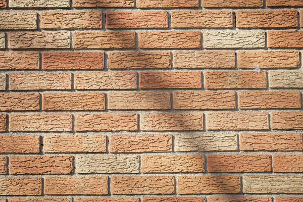 Shadow on brick wall - Royalty-free Stock Photo | Dissolve