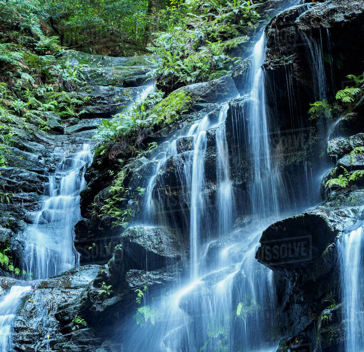 Australia, New South Wales, Waterfall called Wentworth Falls - Royalty ...