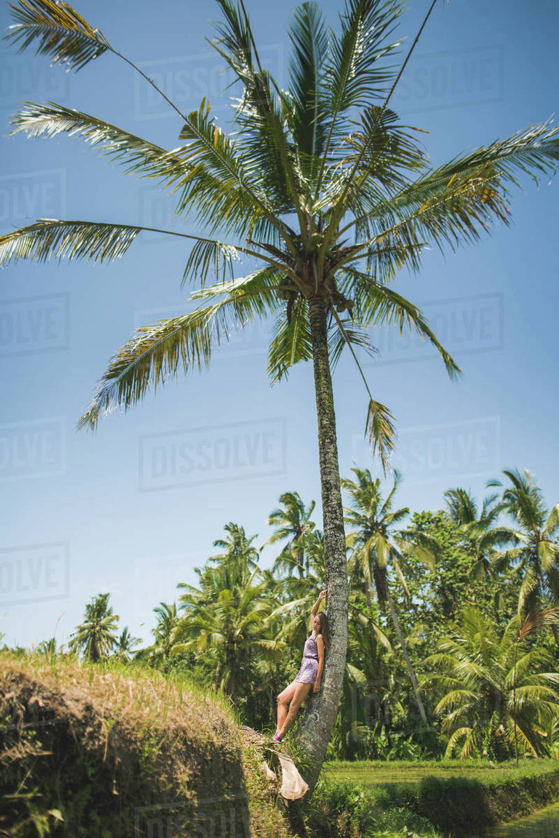 Woman leaning against palm tree in Bali, Indonesia - Royalty-free Stock ...