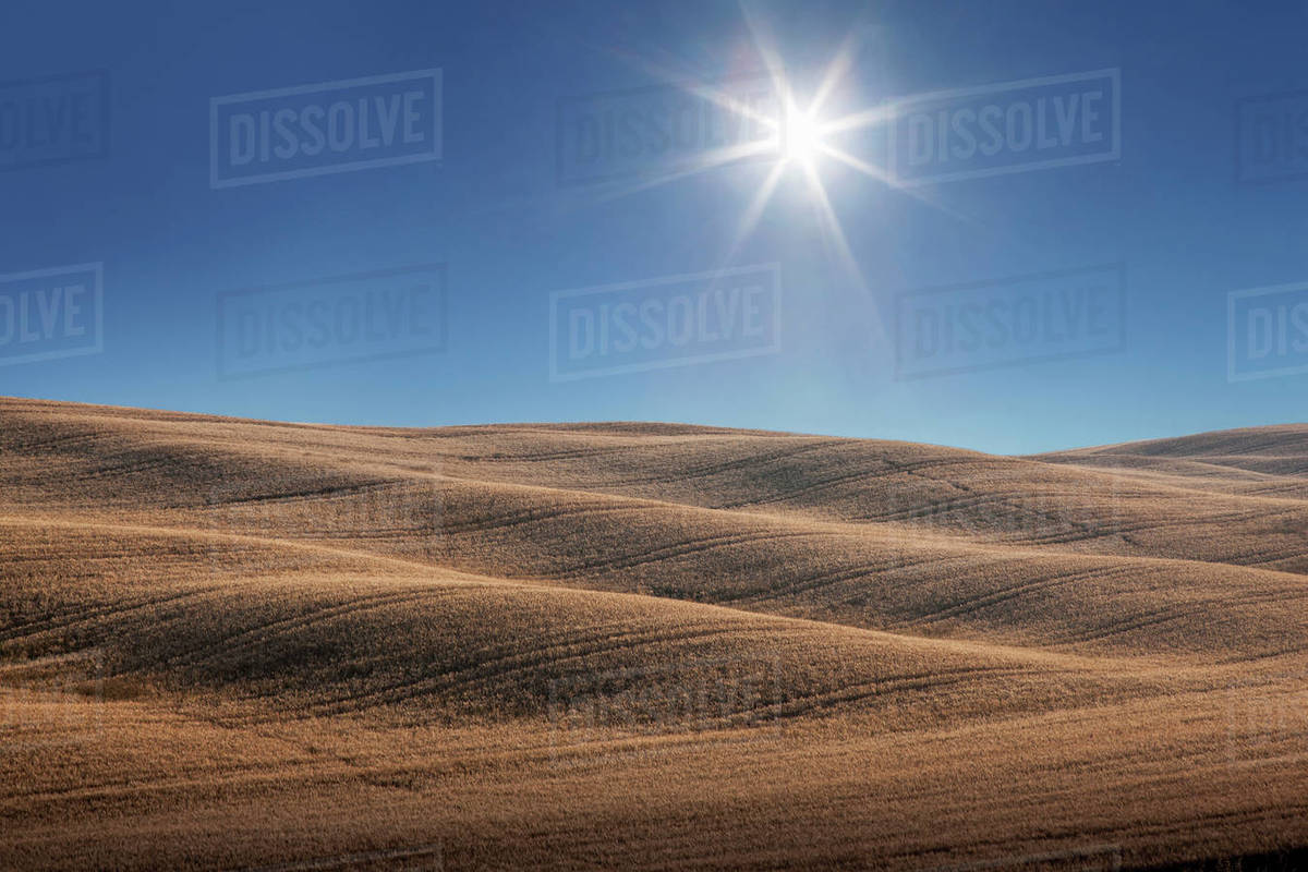 Hills under sun - Royalty-free Stock Photo | Dissolve