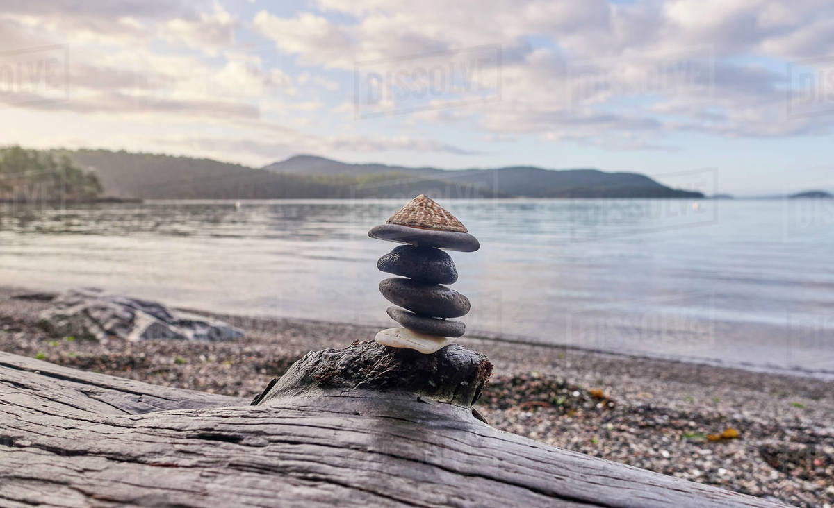 Pebbles stacked on driftwood on beach - Royalty-free Stock Photo | Dissolve