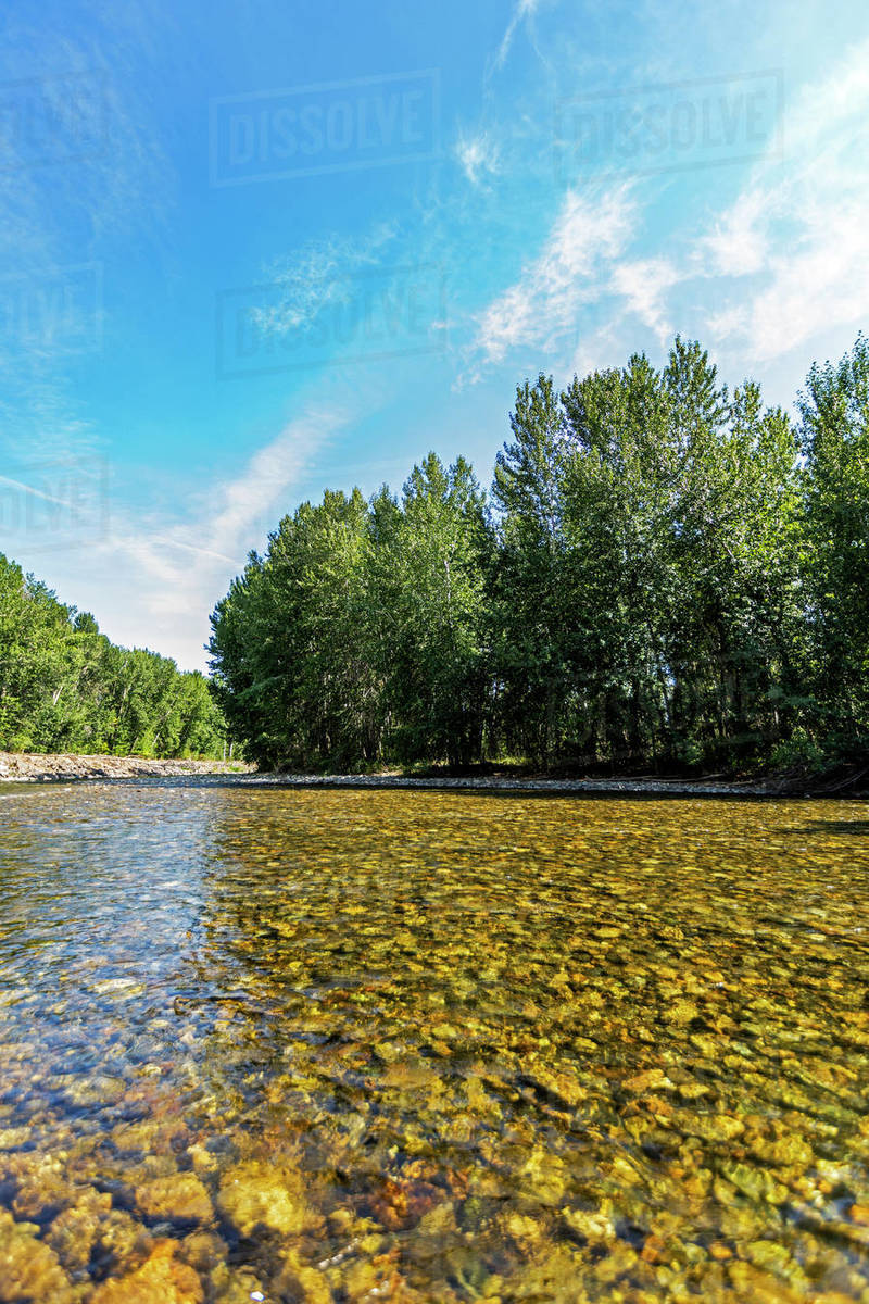 USA, Idaho, Bellevue, River and trees on sunny day - Royalty-free Stock ...