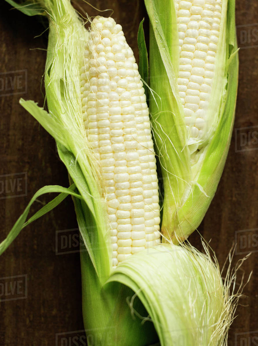 Overhead close up view of two corn cobs - Royalty-free Stock Photo ...