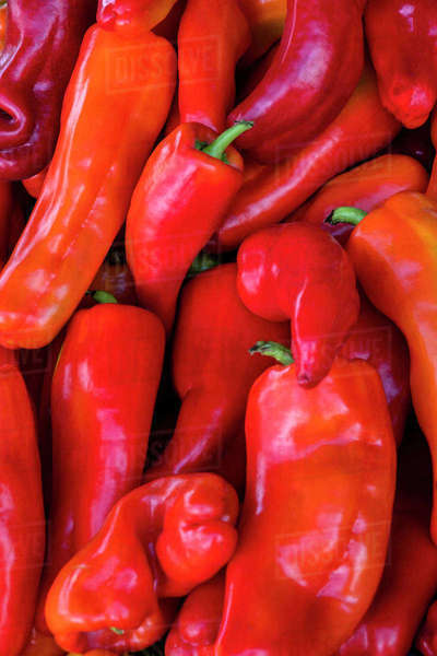 Overhead view of red Cuban peppers - Royalty-free Stock Photo | Dissolve