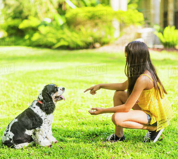 Girl ( 8-9) teaching dog tricks - Royalty-free Stock Photo | Dissolve