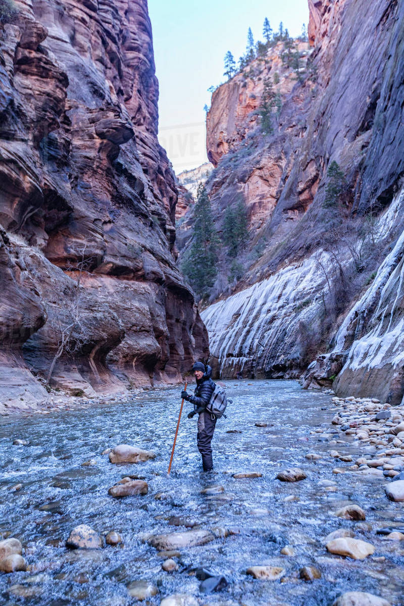 United States, Utah, Zion National Park, Senior hiker wading The ...