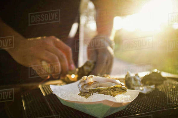 Man shucking fresh oysters - Stock Photo - Dissolve