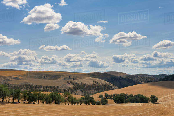 Rolling landscape with cloudy sky - Royalty-free Stock Photo | Dissolve