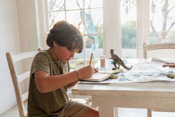 Boy (8-9) drawing at home - Stock Photo - Dissolve