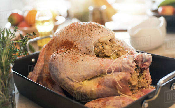 Close up of turkey ready to be baked - Stock Photo - Dissolve