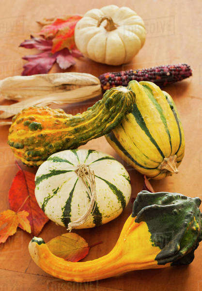 Colorful gourds, studio shot - Stock Photo - Dissolve