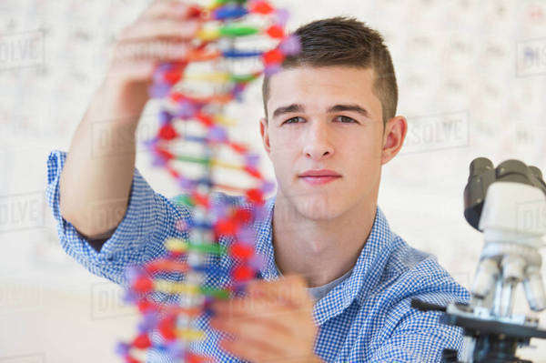 Teenage student (16-17) learning genetics - Stock Photo - Dissolve