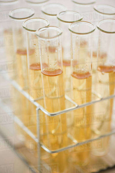 Liquid in test tubes - Stock Photo - Dissolve