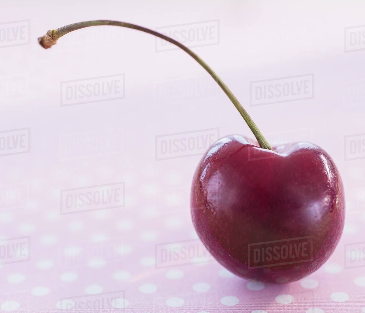 Close-up of cherry - Royalty-free Stock Photo | Dissolve