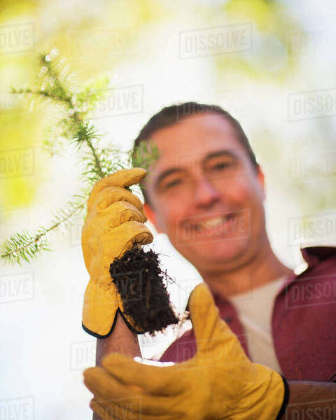 Portrait of man holding tree seedling - Royalty-free Stock Photo | Dissolve