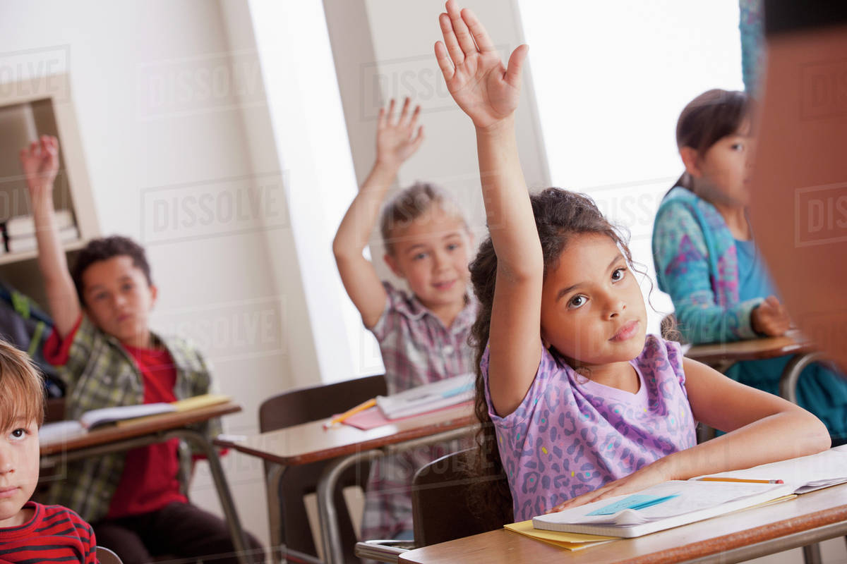 Pupils in classroom raising hands - Stock Photo - Dissolve