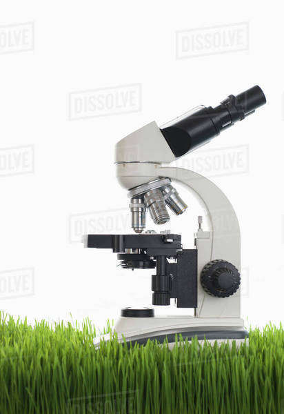 Microscope on grass in studio - Stock Photo - Dissolve