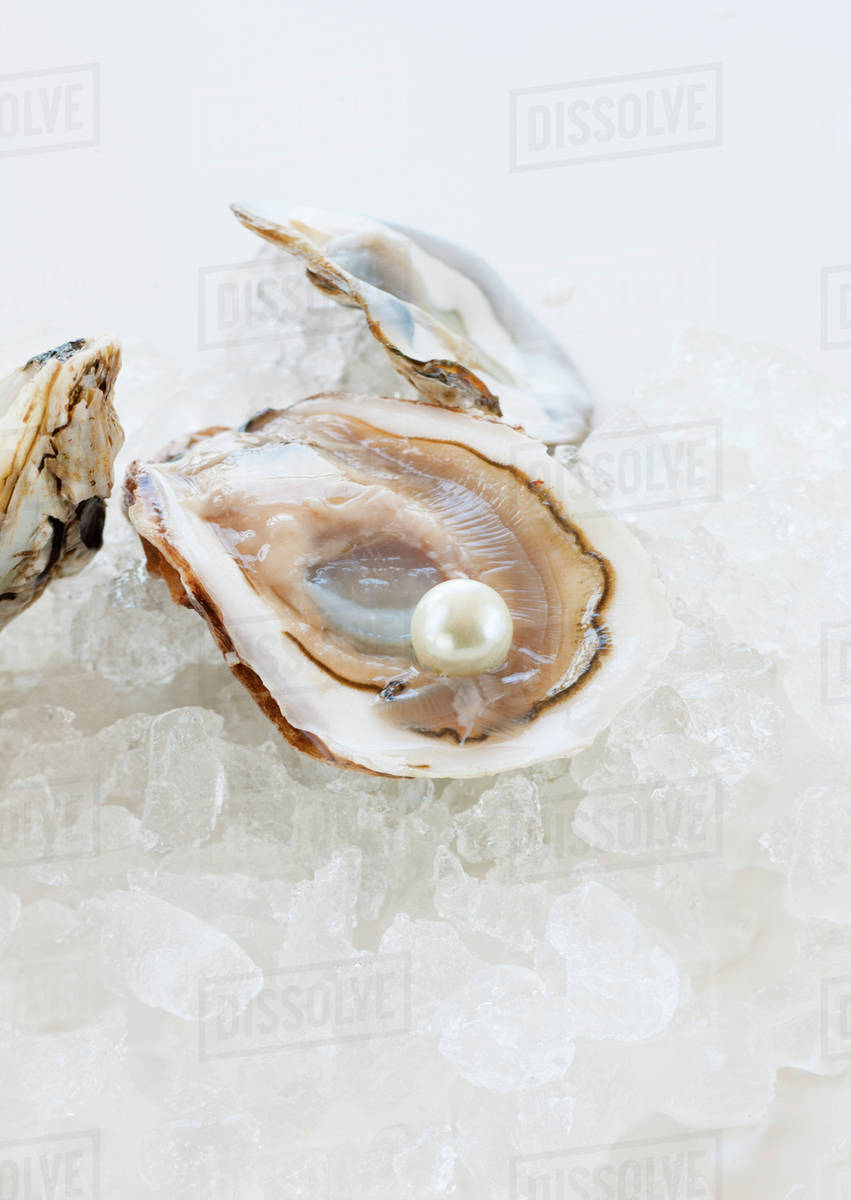 Studio shot of pearl in oyster - Royalty-free Stock Photo | Dissolve