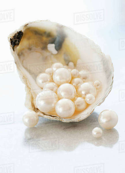 Studio shot of pearls in oyster - Royalty-free Stock Photo | Dissolve