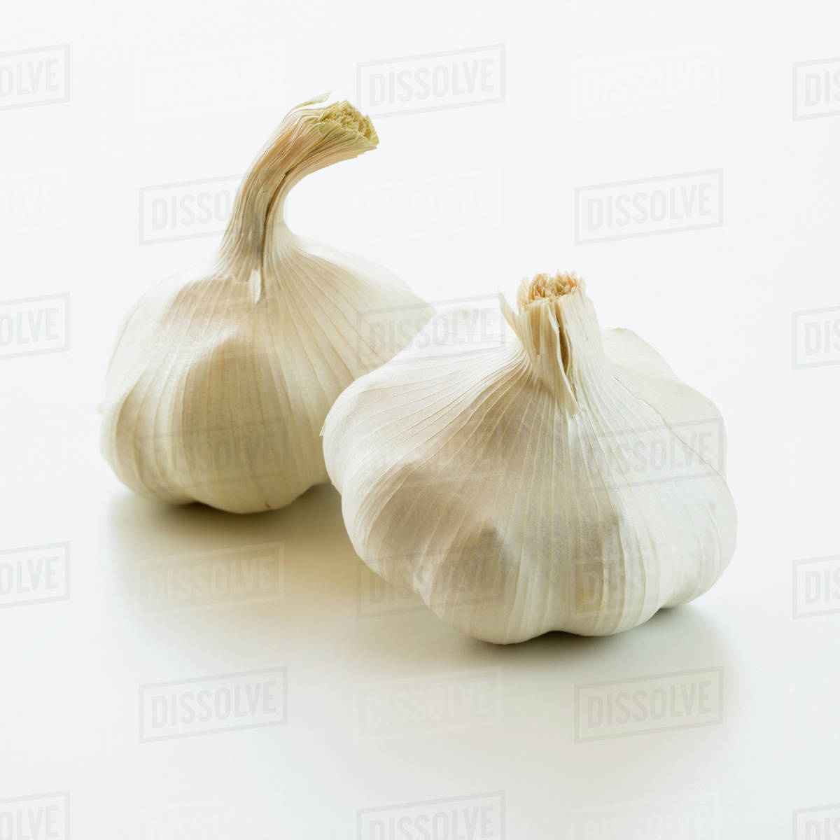 Studio shot of fresh garlic - Stock Photo - Dissolve