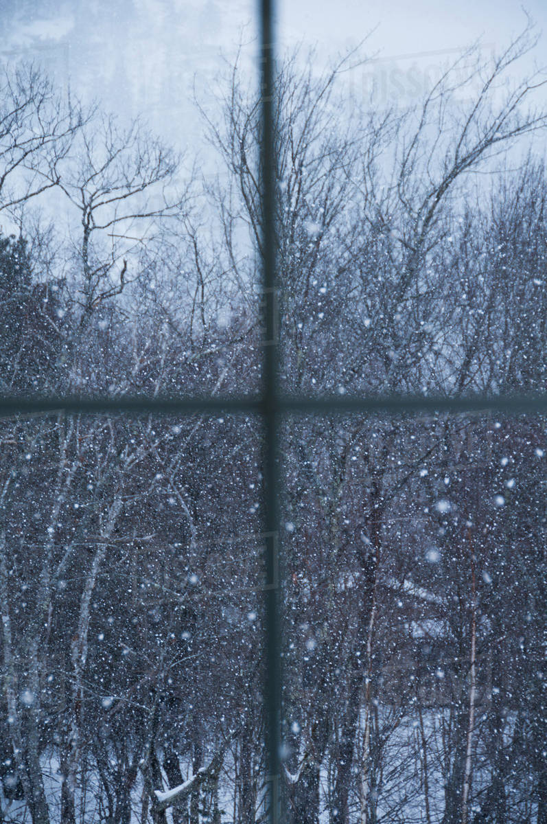 USA, Maine, Camden, window overlooking snowy forest - Stock Photo ...