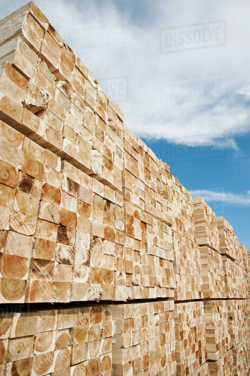 Orderly stack of timber - Royalty-free Stock Photo | Dissolve