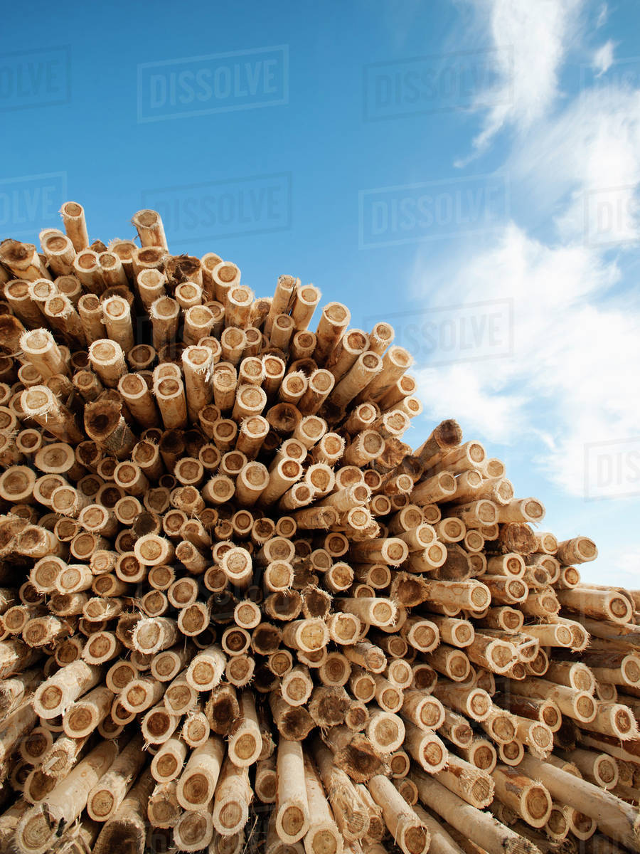Stack of timber against blue sky - Royalty-free Stock Photo | Dissolve