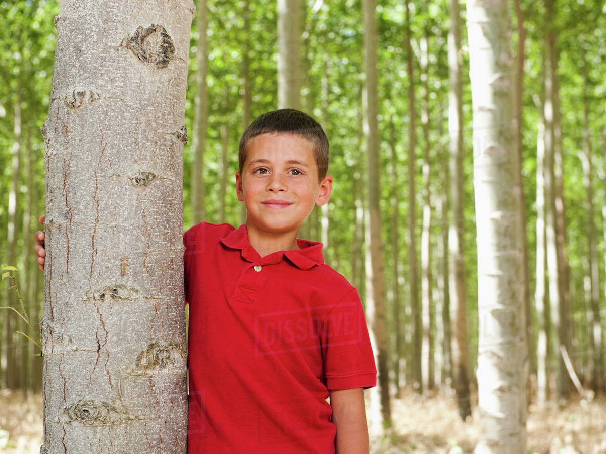 USA, Oregon, Boardman, Boy (8-9) standing between poplar trees in tree ...