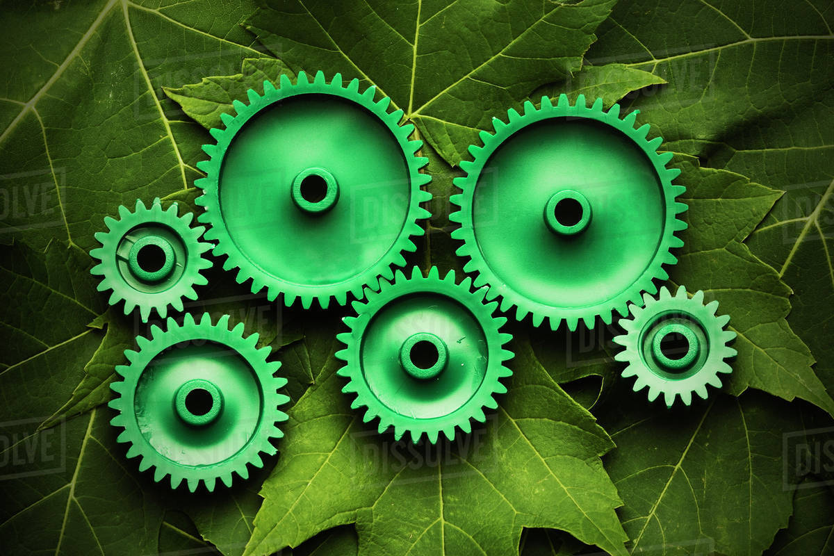 Green cogs connecting on leaves - Royalty-free Stock Photo | Dissolve