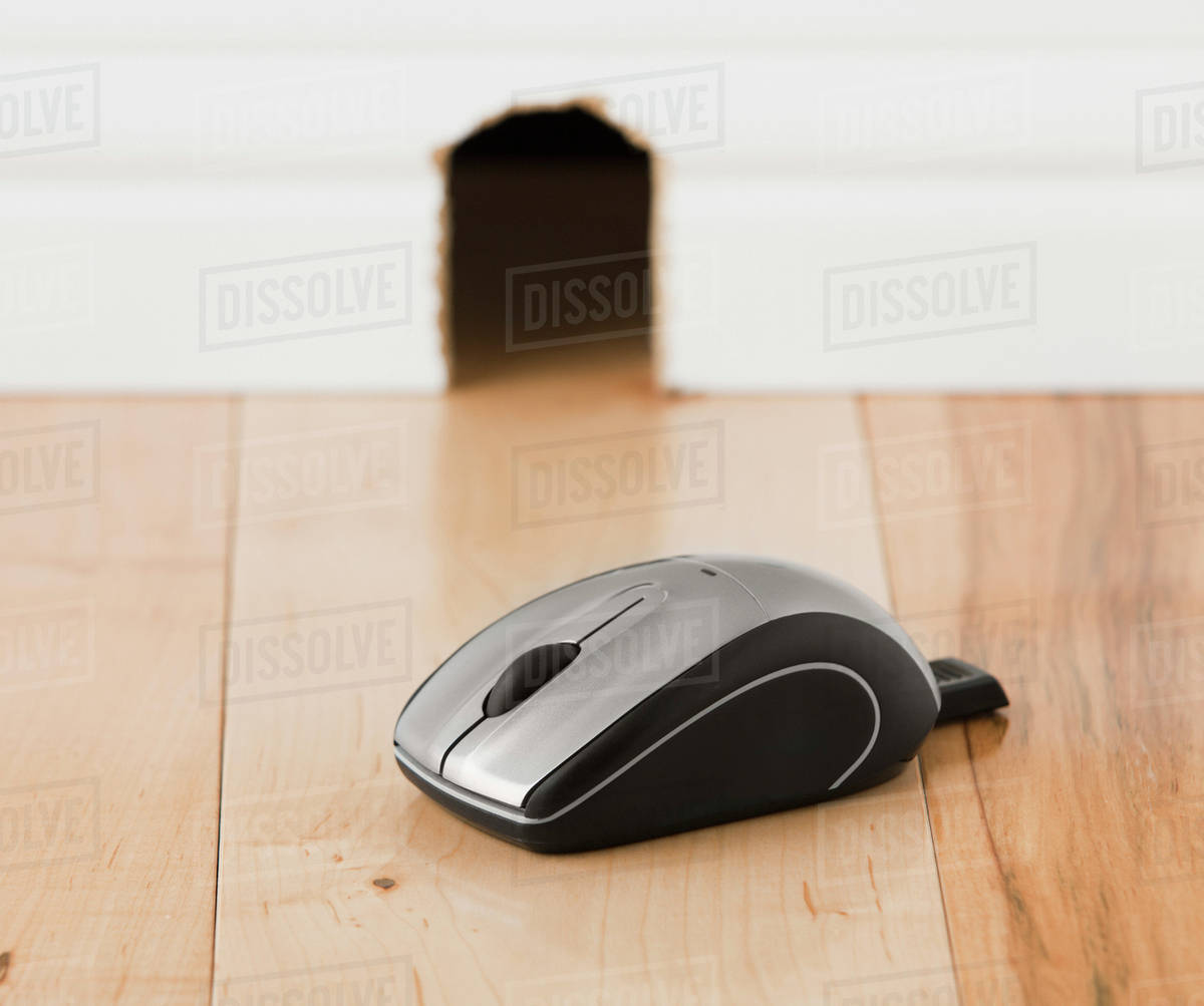 Computer mouse on floor in front of mouse hole - Stock Photo - Dissolve