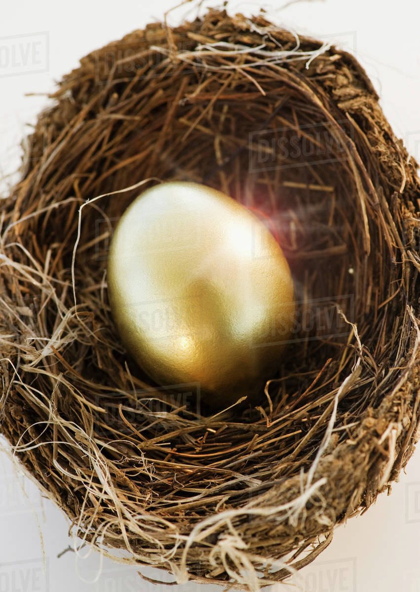 Bird's eggs in a nest - Stock Photo - Dissolve