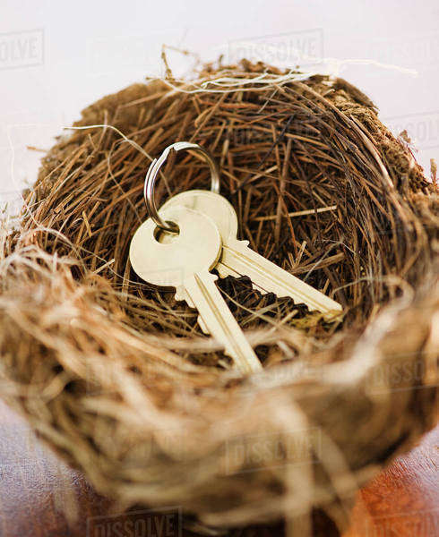 Keys in a bird nest - Royalty-free Stock Photo | Dissolve