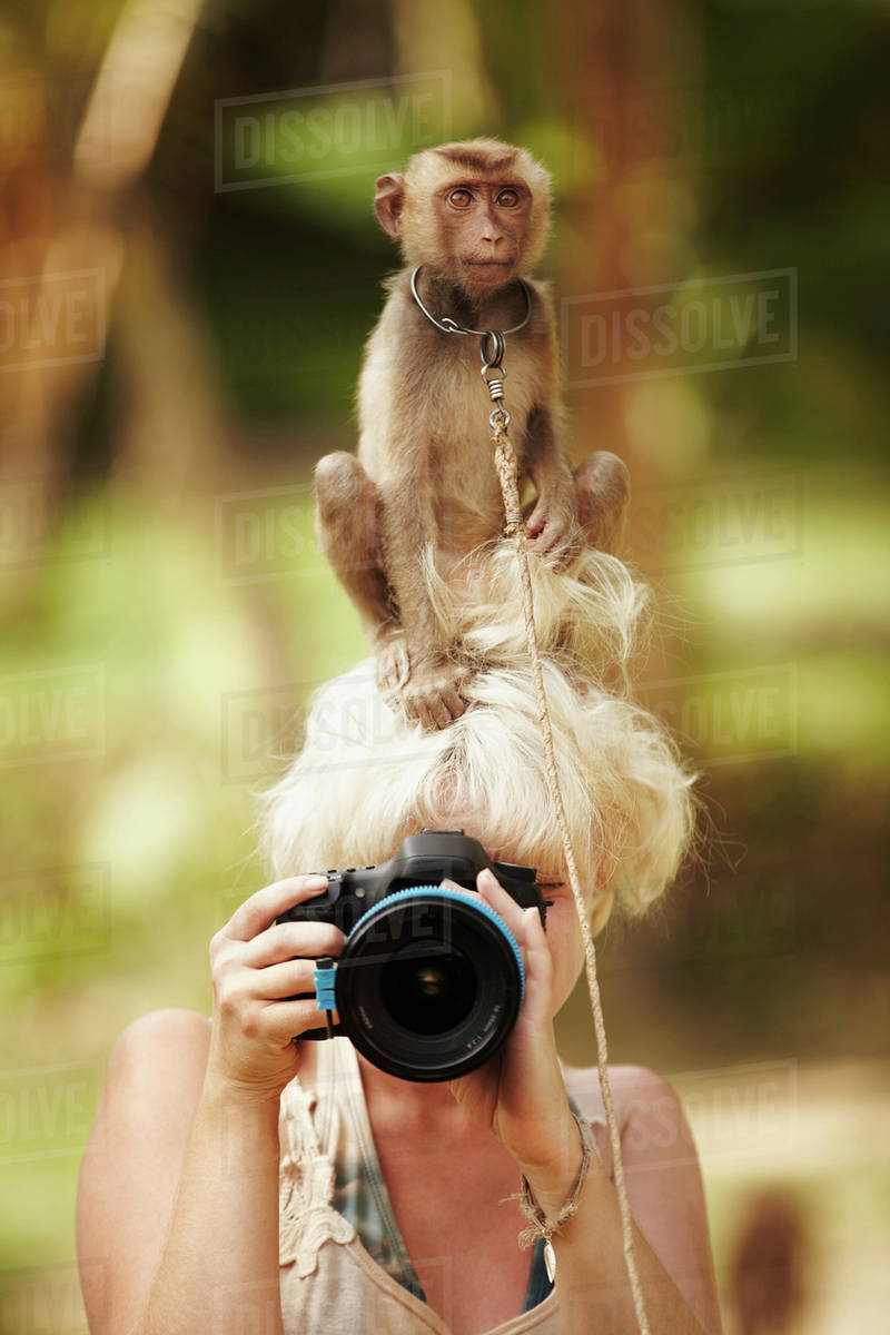 Portrait of female photographer with macaque monkey sitting atop her ...