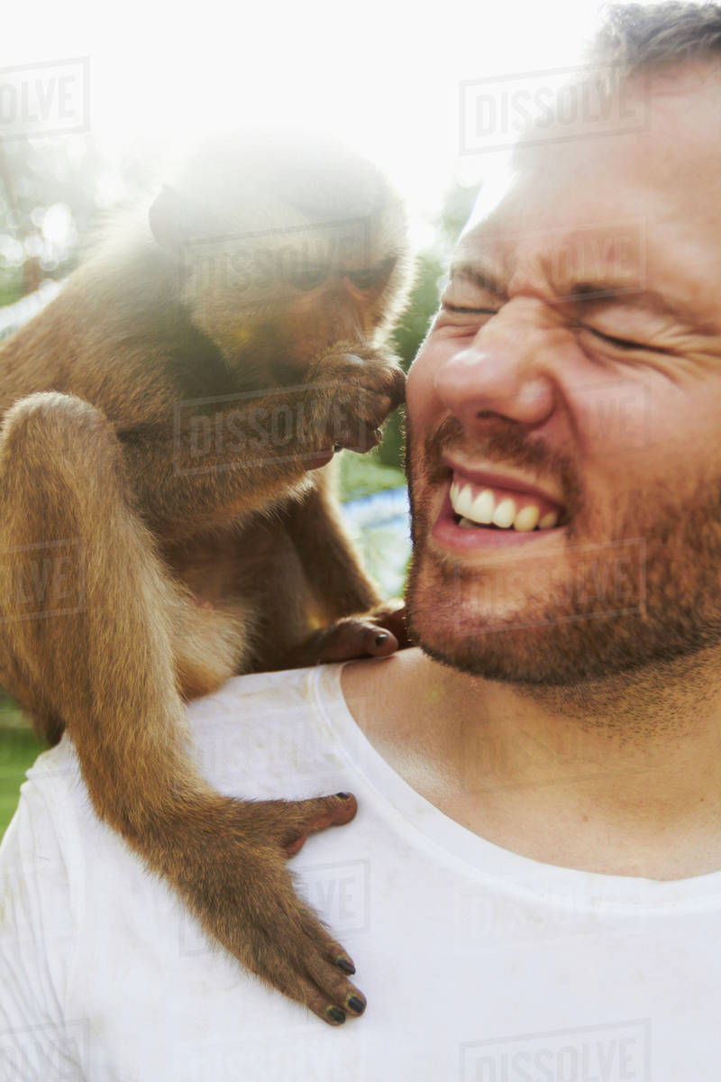 Portrait of man holding monkey - Stock Photo - Dissolve