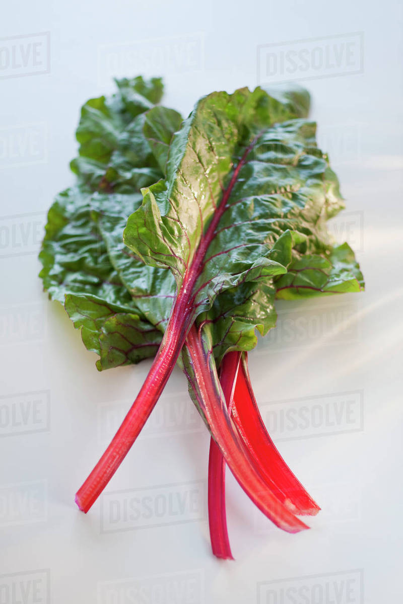 Swiss chard - Royalty-free Stock Photo | Dissolve