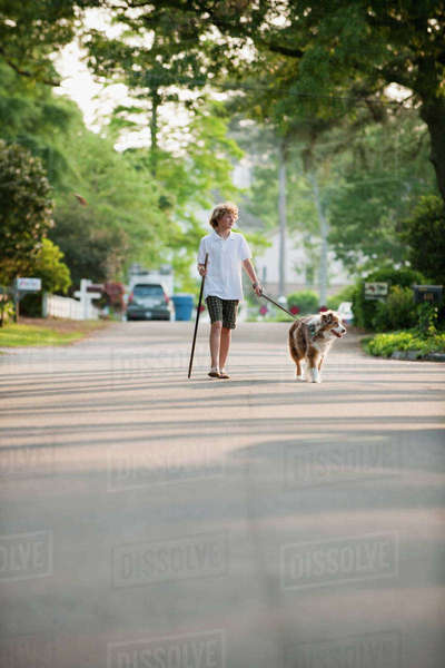 Boy walking dog - Stock Photo - Dissolve