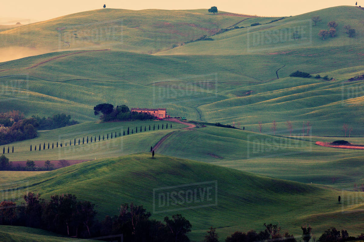 Landscape with green hills - Stock Photo - Dissolve