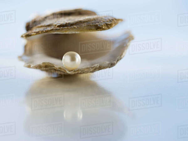 Close up of pearl in oyster shell - Stock Photo - Dissolve