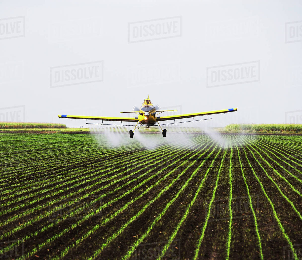 Crop-duster plain over field - Royalty-free Stock Photo | Dissolve
