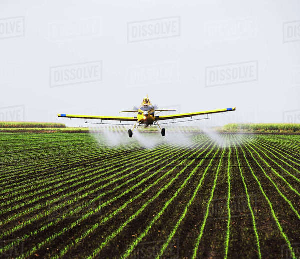 Crop-duster plain over field - Royalty-free Stock Photo | Dissolve