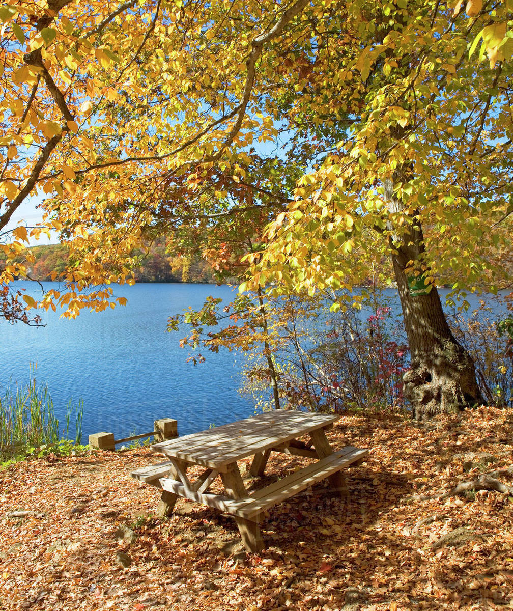 Bench Autumn Nature Wallpapers