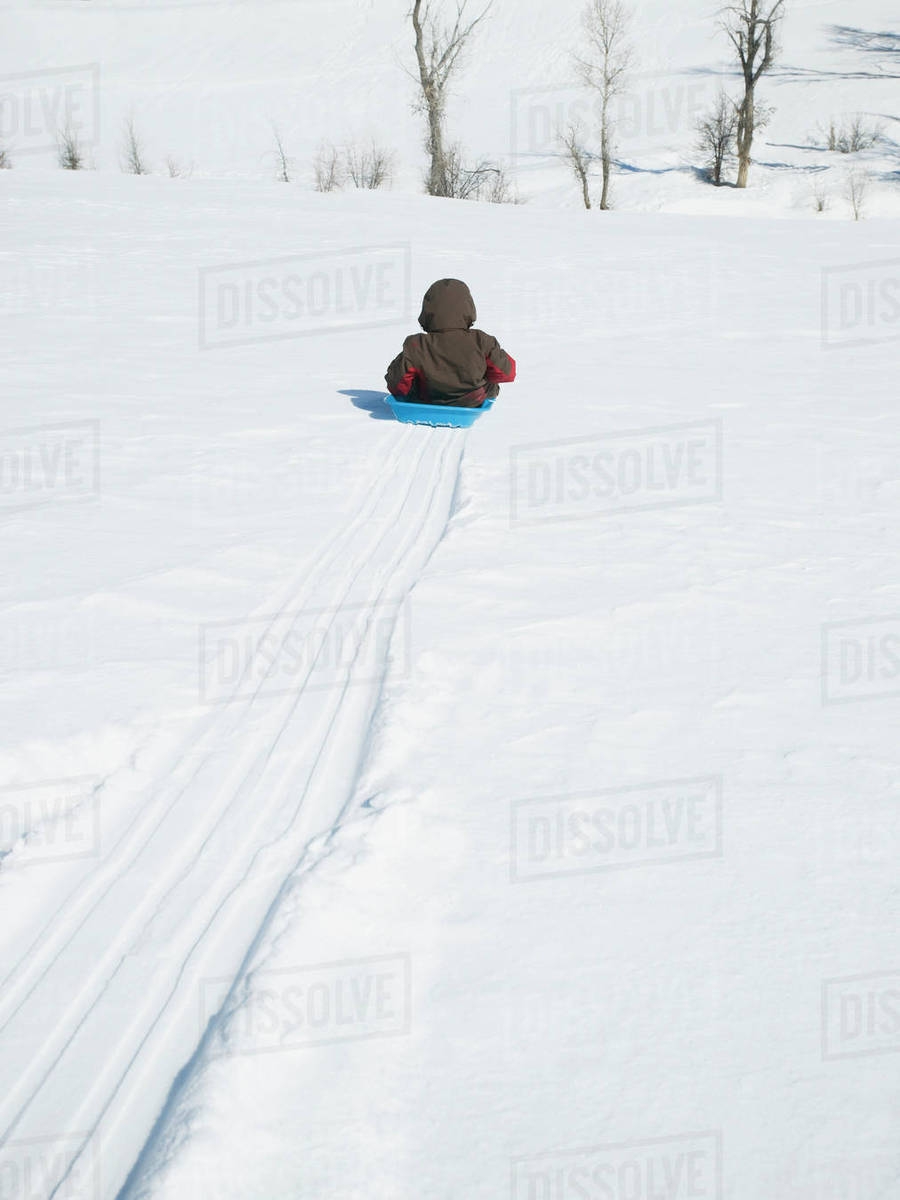 Boy riding on sled - Stock Photo - Dissolve