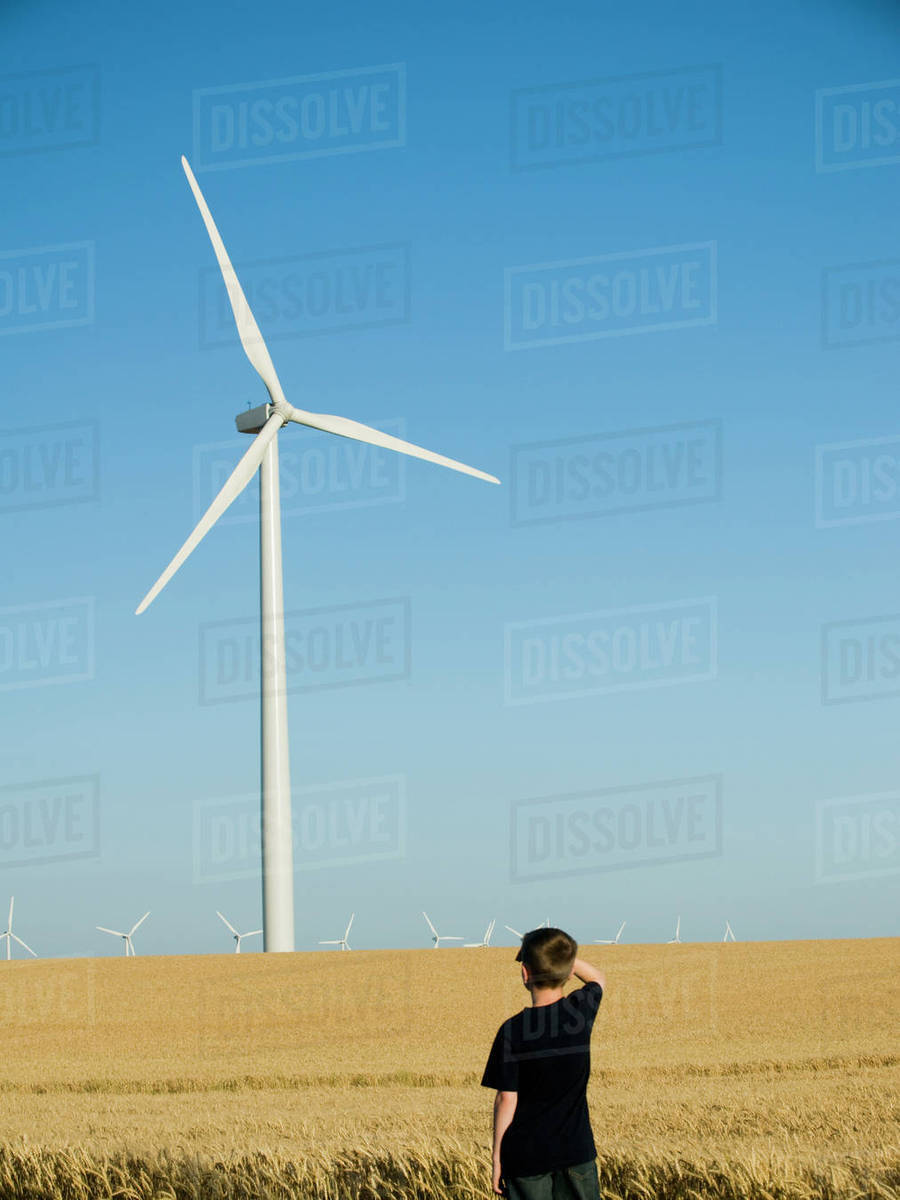 Boy looking at windmill on wind farm - Stock Photo - Dissolve